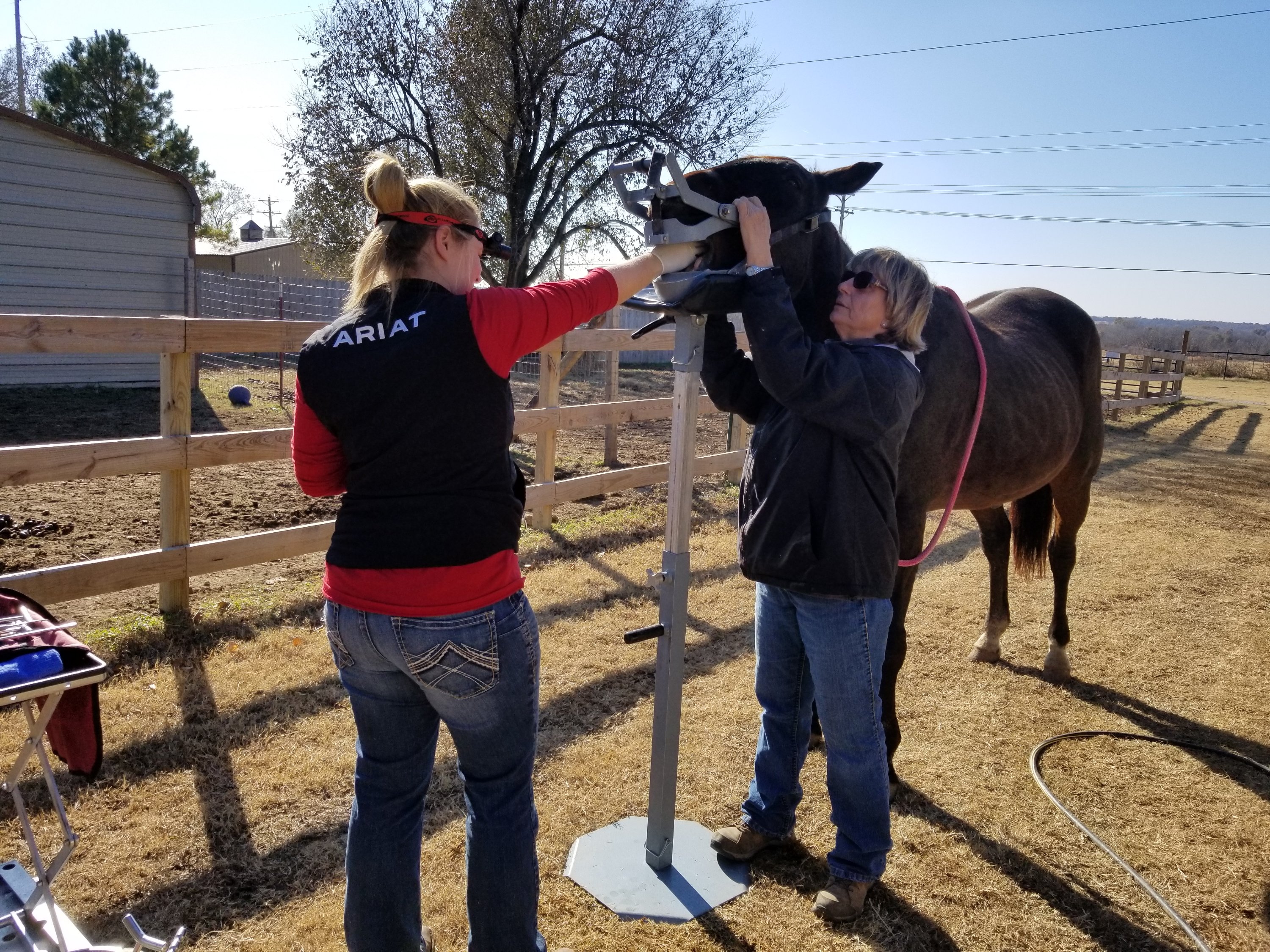 $200 Donation - Swingin D Horse Rescue