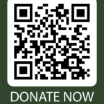 Swingin D Horse Rescue, Slaughter to Sanctuary to Happily Ever After!