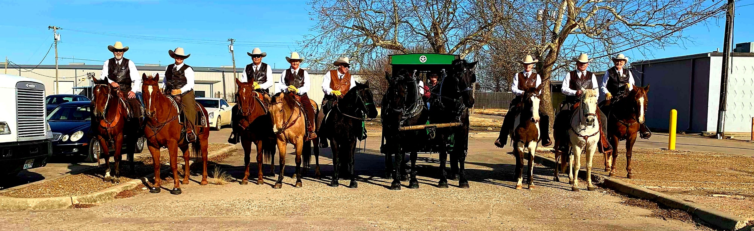 We knew he was special - Swingin D Horse Rescue