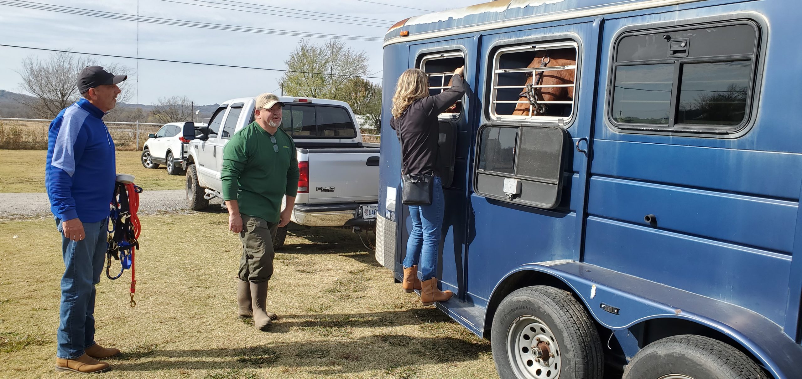 A Pair of Perfect Matches - Swingin D Horse Rescue